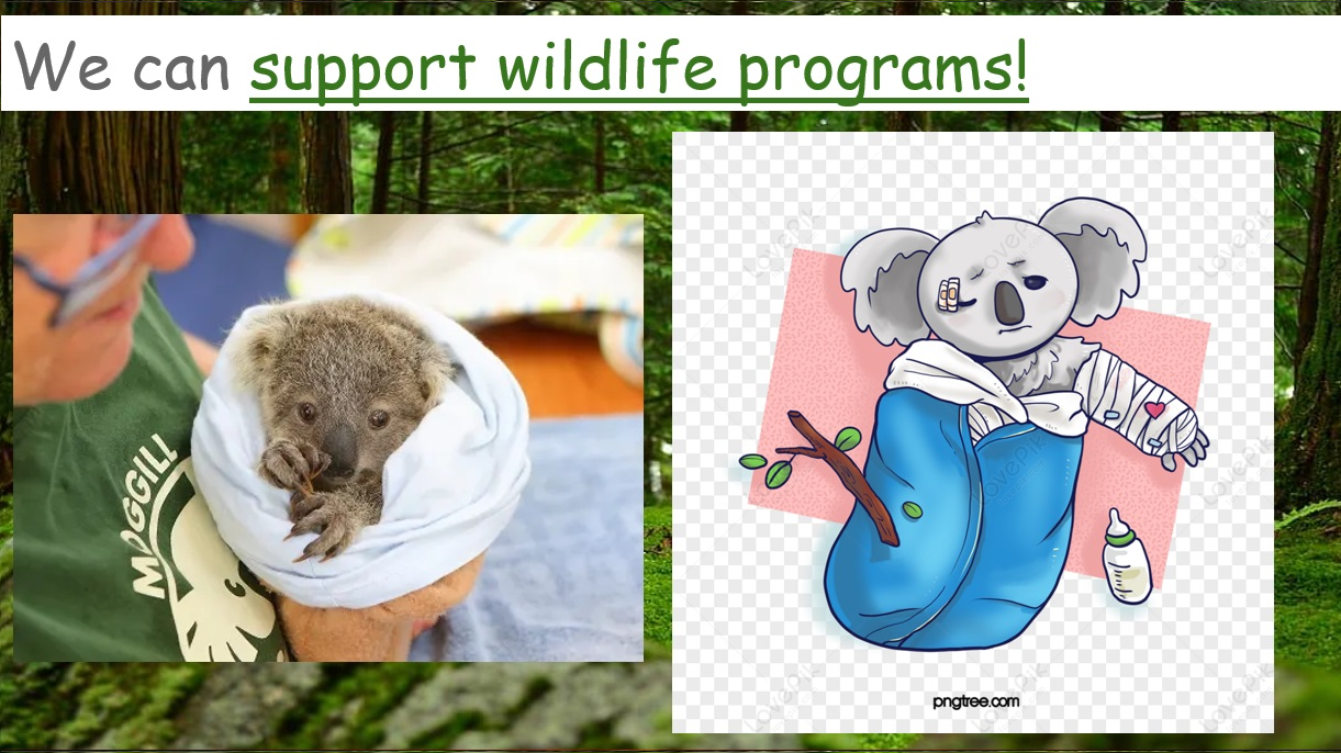 Beyond Memorisation: A Dynamic Approach to English Presentations | JALT ...